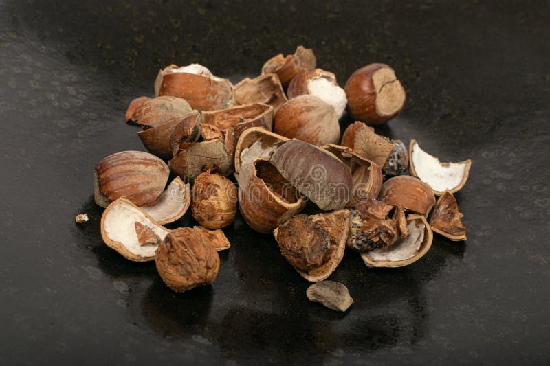 205 Rotten Nuts Stock Photos - Free & Royalty-Free Stock Photos from ...