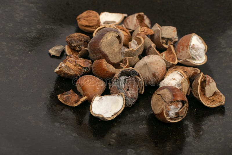 197 Rotten Nuts Stock Photos - Free & Royalty-Free Stock Photos from ...