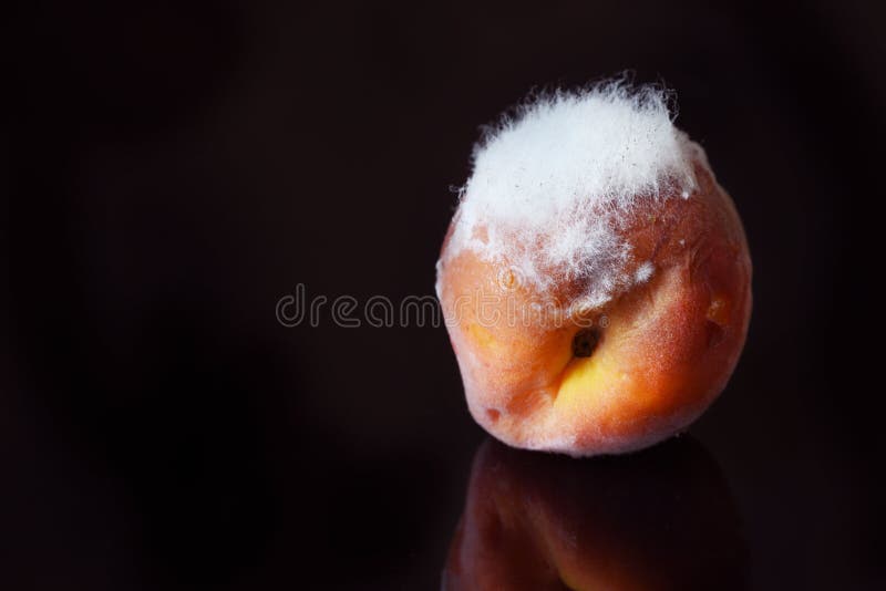Spoiled Fruit Stock Photos - Download 2,806 Royalty Free Photos