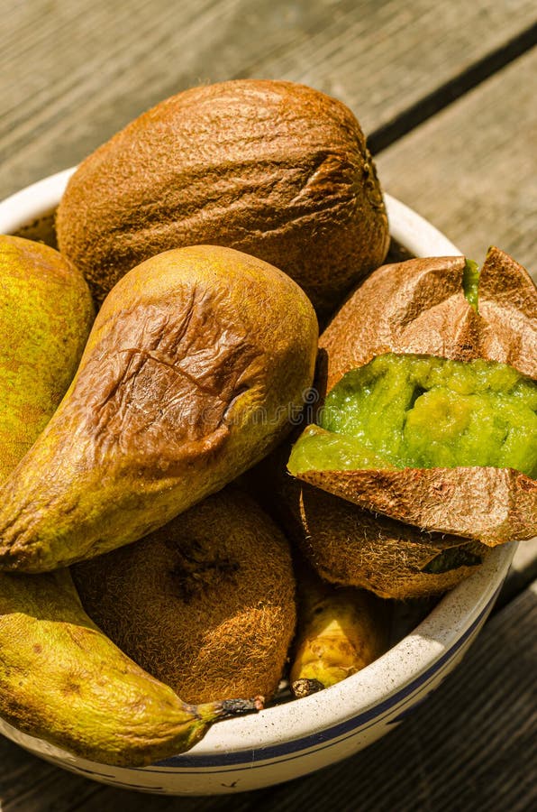 Overripe Kiwi Stock Photos - Free & Royalty-Free Stock Photos from ...