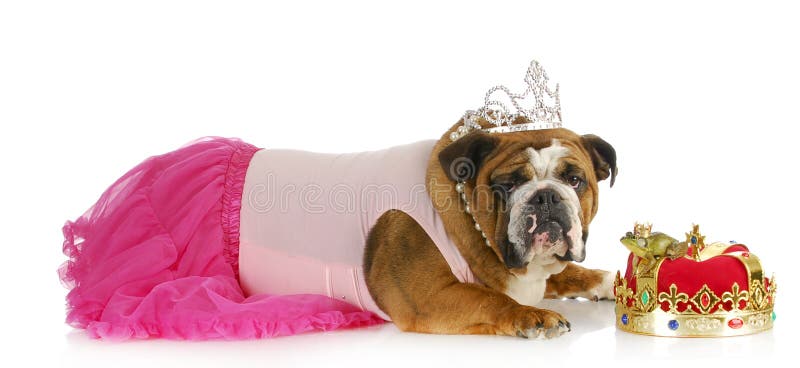 Spoiled princess stock image. Image of crown, book, holding - 28524089