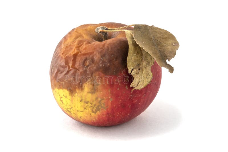 Spoiled Red Apple with 2 Dry Leaves Isolated on White Background Stock ...