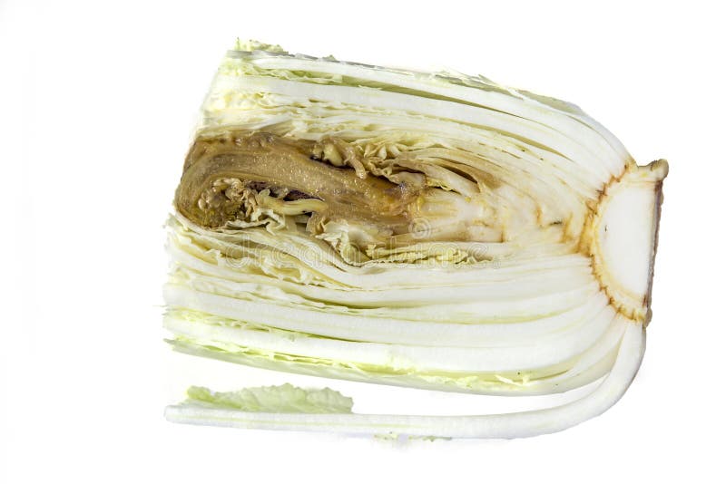 Spoiled Rotten Cabbage Isolated on a White Background Stock Image ... Spoiled Rotten Cabbage Isolated on a White Background Stock Image ...