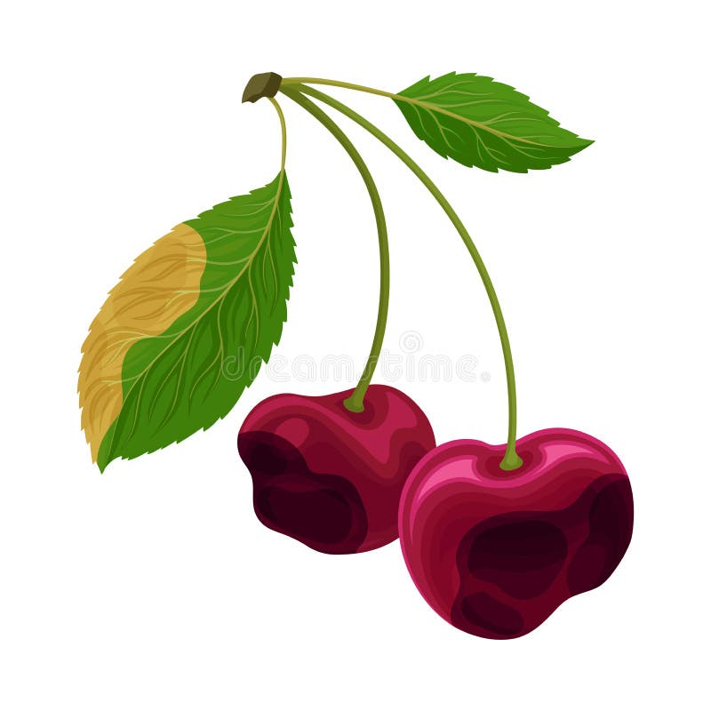 Organic Rot Stock Illustrations – 620 Organic Rot Stock Illustrations ...