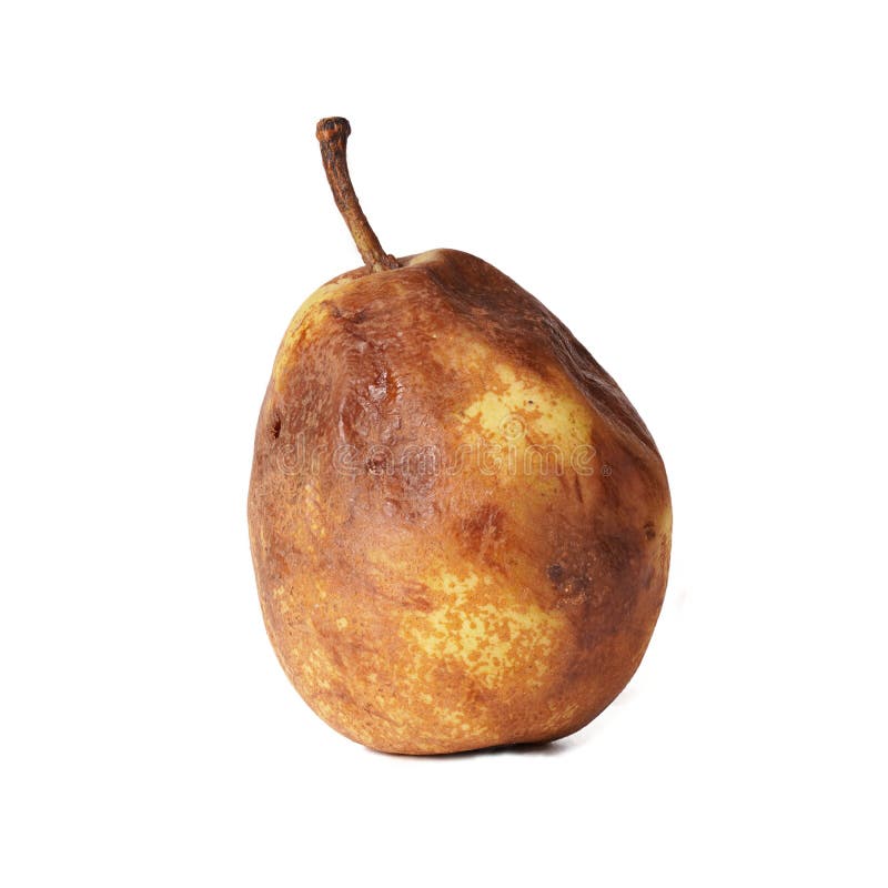 Spoiled Rotten Pear Isolated on a White Background Stock Image - Image ... Spoiled Rotten Pear Isolated on a White Background Stock Image - Image ...