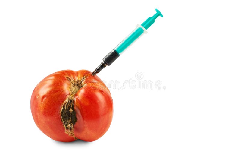 Spoiled Tomato with Stuck Syringe Isolated on White Background. Stock ...