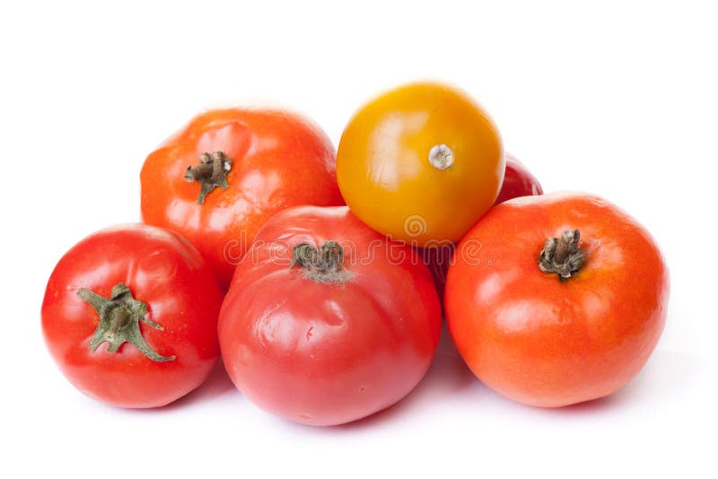 Spoiled Tomato with Mold, Unhealthy and Disgusting Vegetable Stock ...