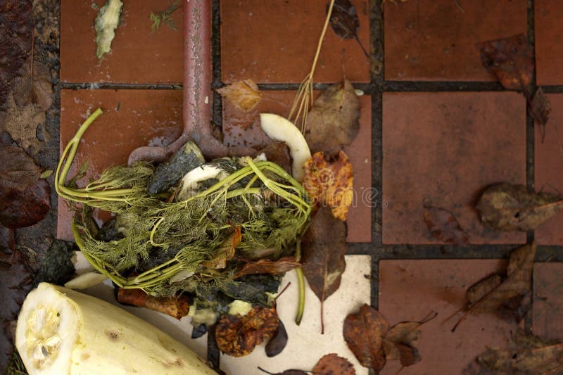Spoiled Vegetables on Dustpan Stock Image - Image of outdoors, overhead ...