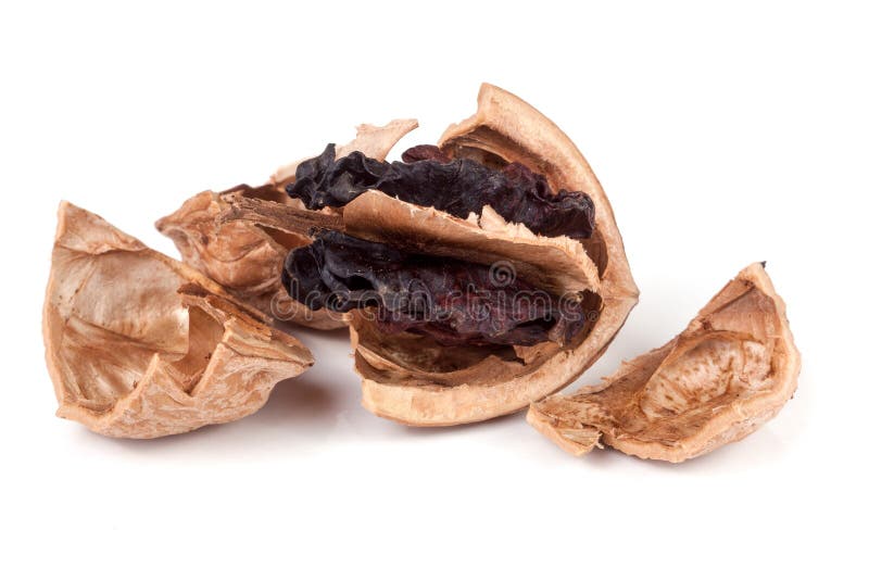 351 Rotten Walnut Stock Photos - Free & Royalty-Free Stock Photos from ...