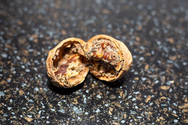 Spoiled Walnuts Stock Photos - Free & Royalty-Free Stock Photos from ...
