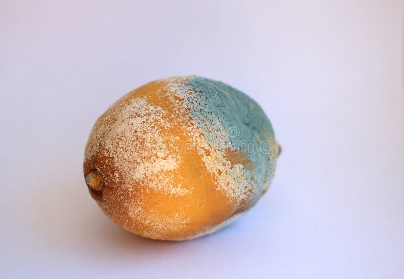 Stale Fresh Lemon Stock Photos - Free & Royalty-Free Stock Photos from ...