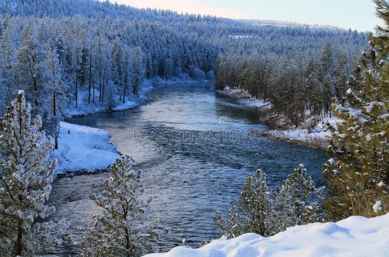 Spokane River Flowing through a Snowy Forest Stock Photo - Image of ...