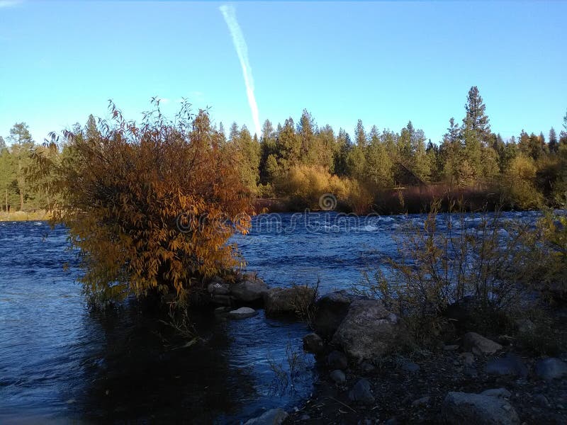 Spokane River People S Park Stock Photo - Image of river, nature: 79895680