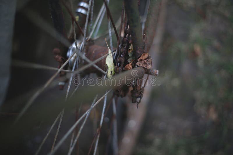 Top View on an Old Rusty Bicycles Back Tire Spokes Stock Photo - Image ...