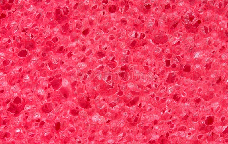 Sponge stock image. Image of closeup, pattern, holes, macro - 243825
