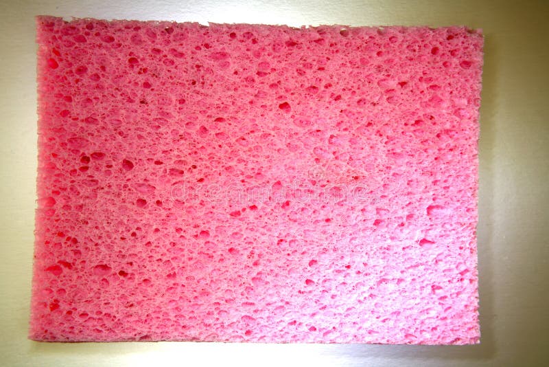Pink sponge stock image. Image of bumpy, porous, rough - 2693455