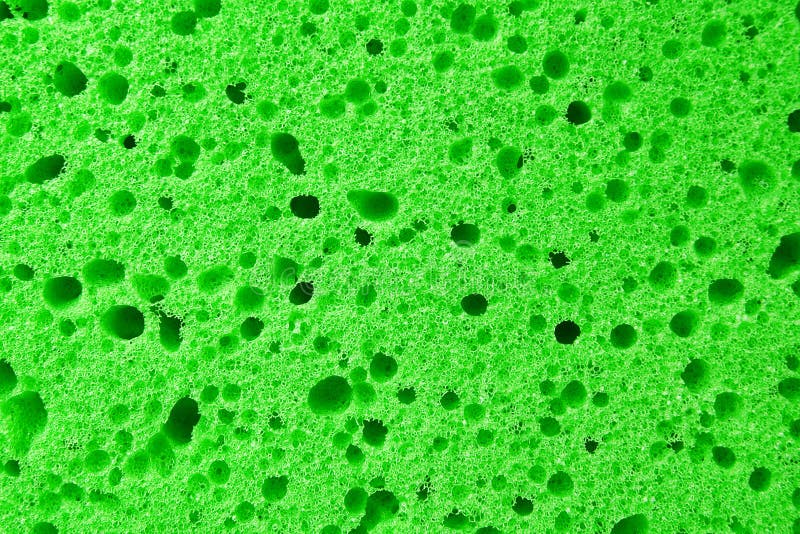 Sponge texture stock photo. Image of natural, color, isolated - 22097588