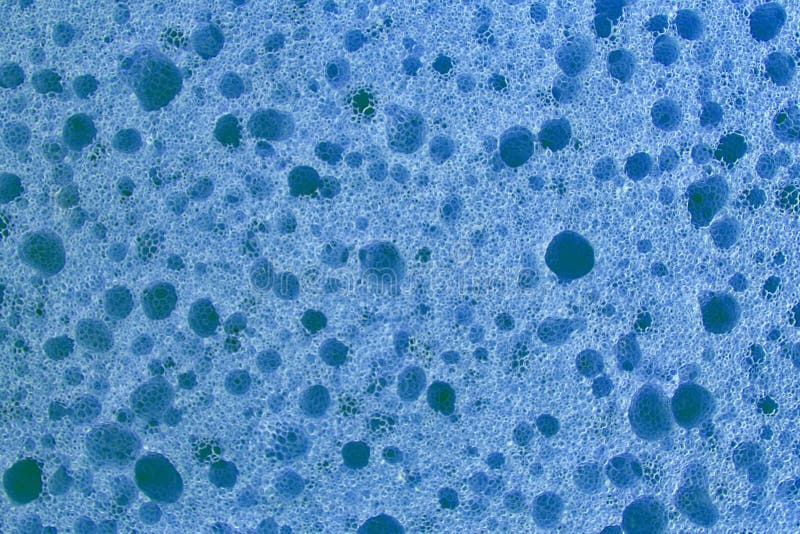 Sponge Picture. Image: 5400498