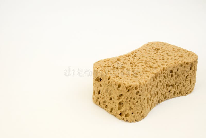 Sponge stock photo. Image of shot, horizontal, cleaning - 6543168