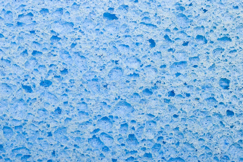 Sponge texture stock photo. Image of natural, color, isolated - 22097588