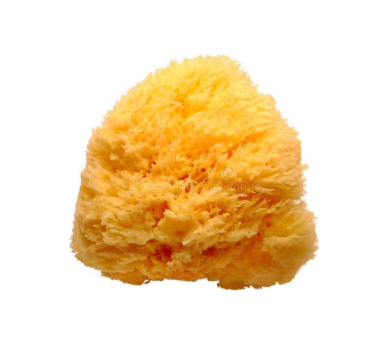 Five Pounds of Fat stock photo. Image of scale, weight - 25598420