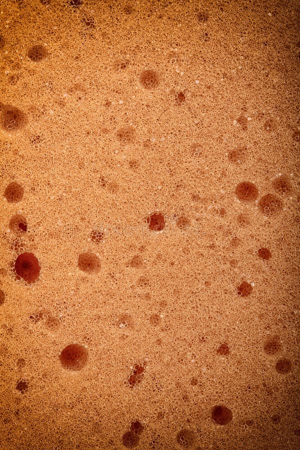Sponge background stock photo. Image of porous, background - 26695338