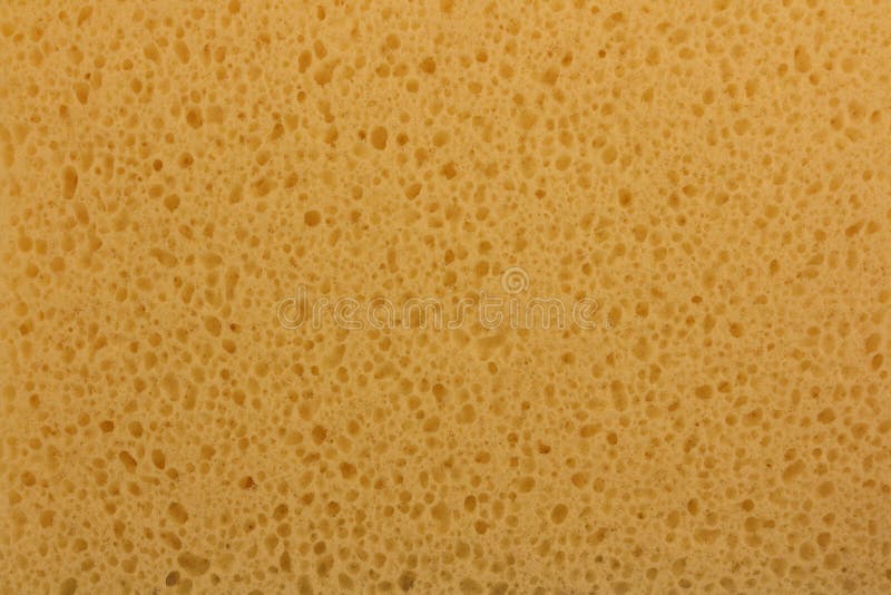 Sponge background stock photo. Image of kitchen, backdrop - 40165232