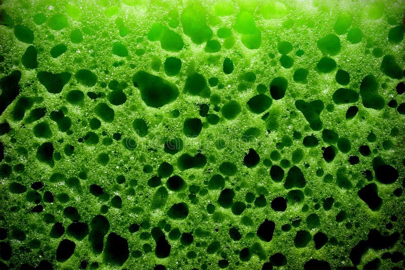 Scrub Seamless Terrain Texture Stock Photos - Free & Royalty-Free Stock ...