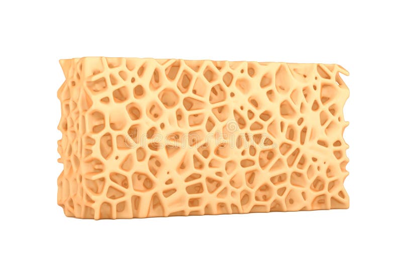 Sponge Bone Structure Medical Texture Block. 3d Rendering Stock ...