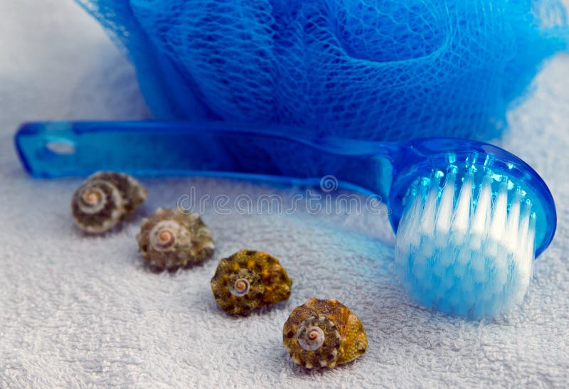 Brush for washing stock photo. Image of hygiene, lifestyle - 29775938