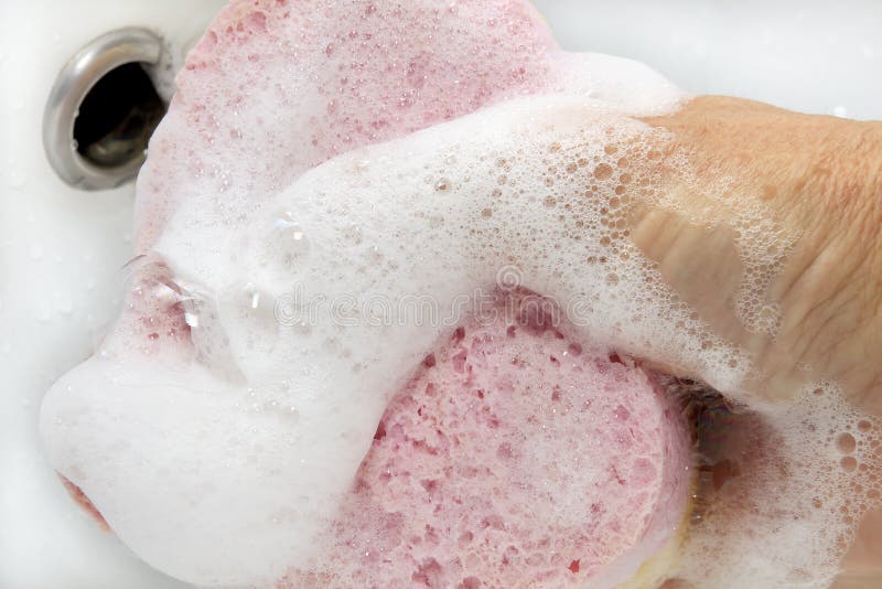 Sponge with bubbles stock image. Image of sanitation - 15580481