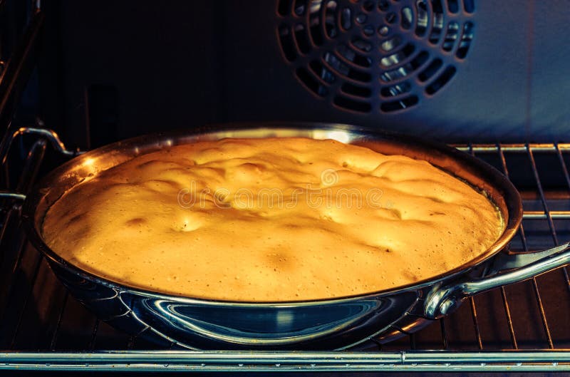 Sponge Cake Baked in the Oven Stock Photo - Image of grow, park: 141383622
