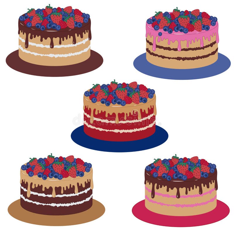 Sponge Cake with Chocolate Icing and Berries. Vector Illustration Stock ...