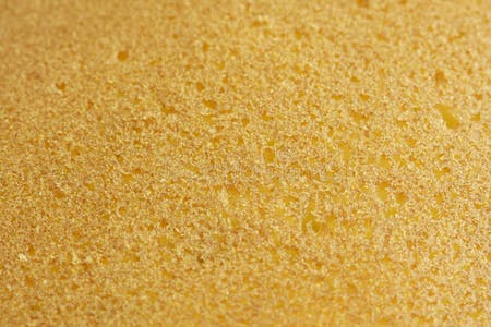 Sponge cake texture stock image. Image of tone, japan - 17980313