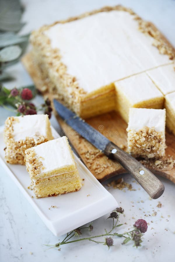 Sponge cake with walnuts stock photo. Image of nuts - 112749208