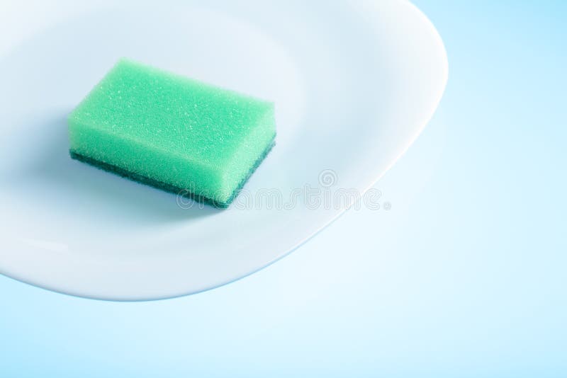 Sponge on a Clean White Plate Stock Photo - Image of sponge, homework ...