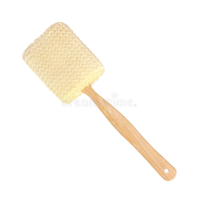A Sponge with Handle for Cleaning Backside of Body Isolated on White ...