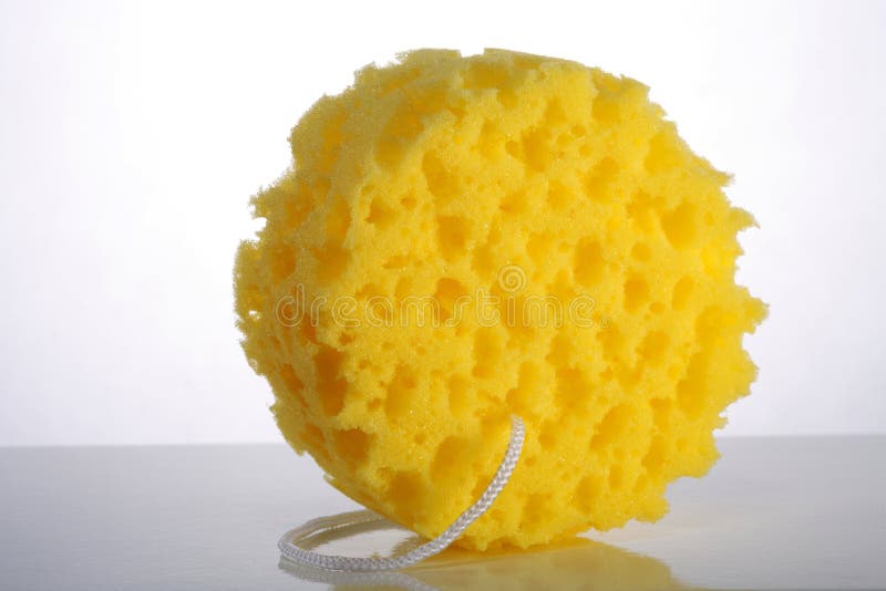 Sponge stock photo. Image of care, sponge, shot, bath - 49256676