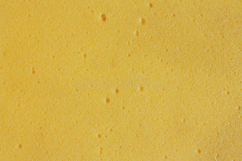 Yellow Sponge Holes Texture Background Stock Photos - Download 349 ...