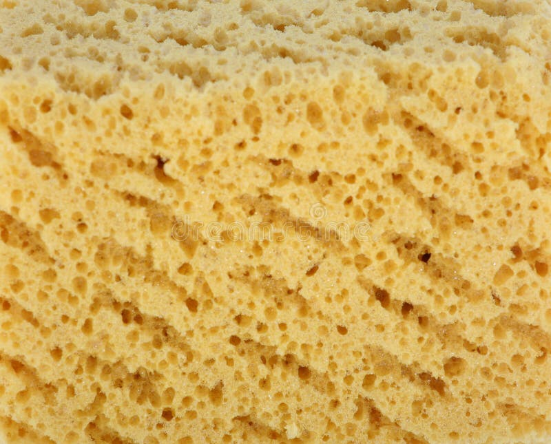 Sponge texture stock photo. Image of cellulose, moisten - 7727054
