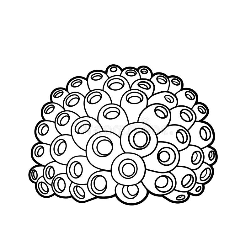 Low Sponge for Coloring Book Linear Drawing Isolated on White Stock ...