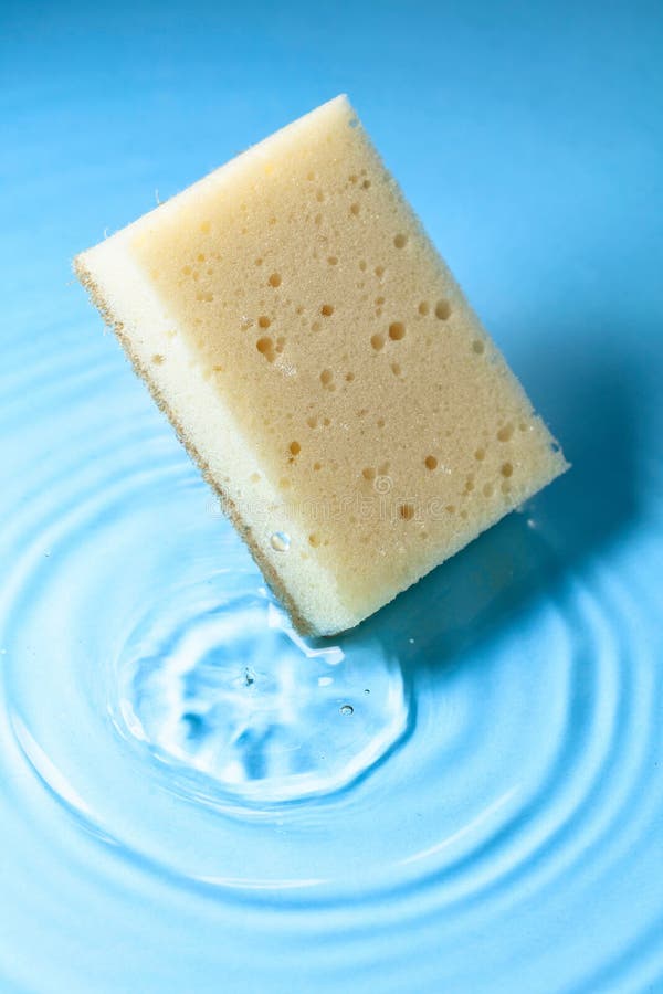 The Sponge Falls into the Water Stock Image - Image of rough, bath ...
