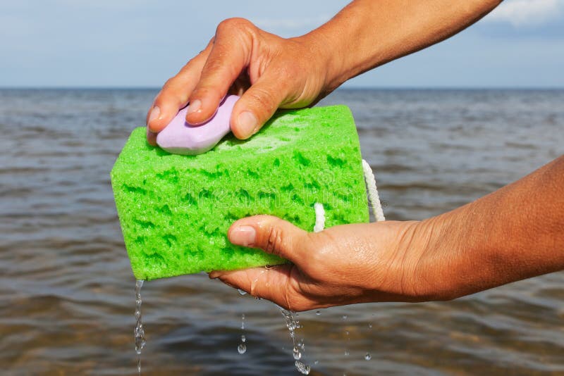 Sponge in hands. stock image. Image of violet, sanitary - 35001205