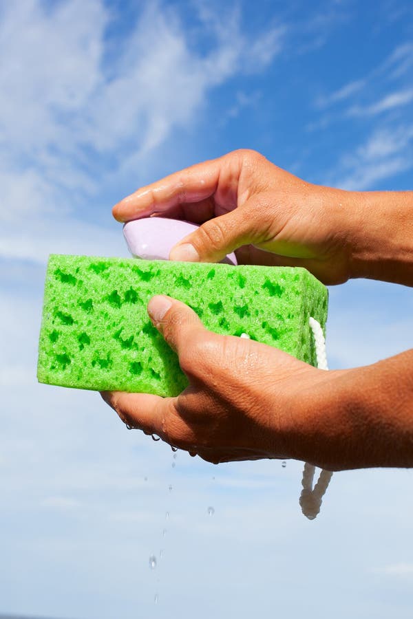Sponge in hands. stock image. Image of purple, wipe, household - 35001229