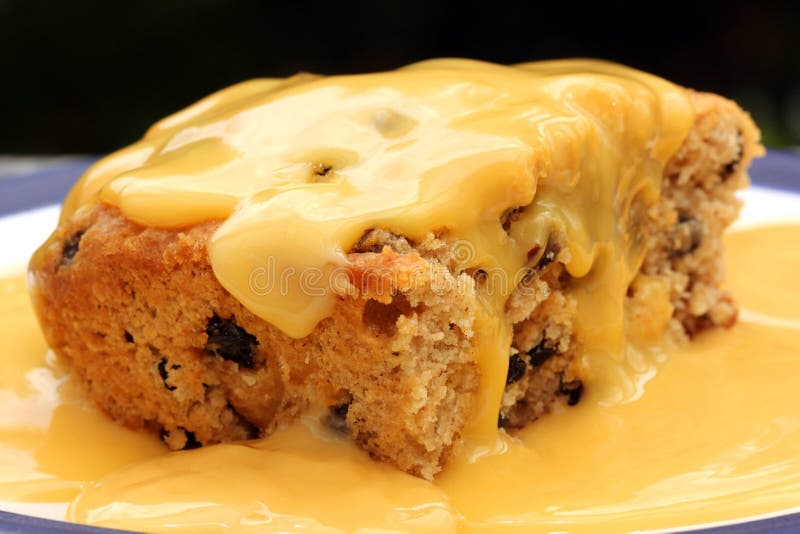 Sponge pudding stock photo. Image of currants, food, sultanas - 42352470