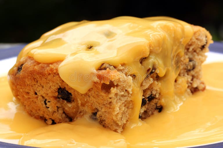 Sponge pudding stock photo. Image of currants, food, sultanas - 42352470