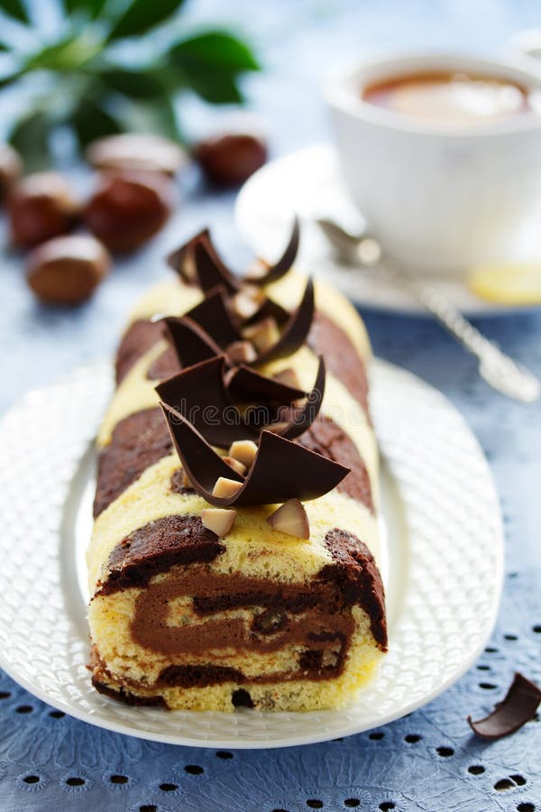 Sponge roll with chocolate stock image. Image of cake - 47940367