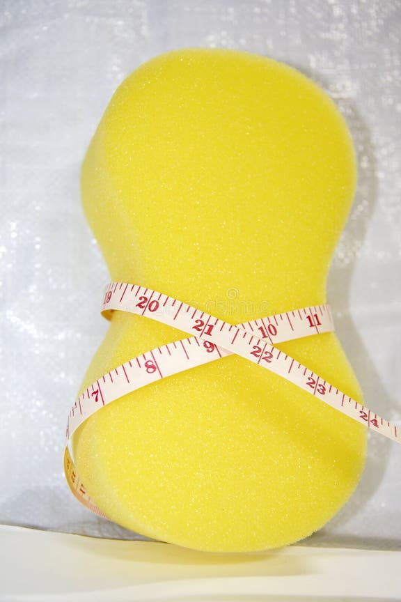 Sponge with Slender Shape Concept Stock Photo - Image of beautiful ...