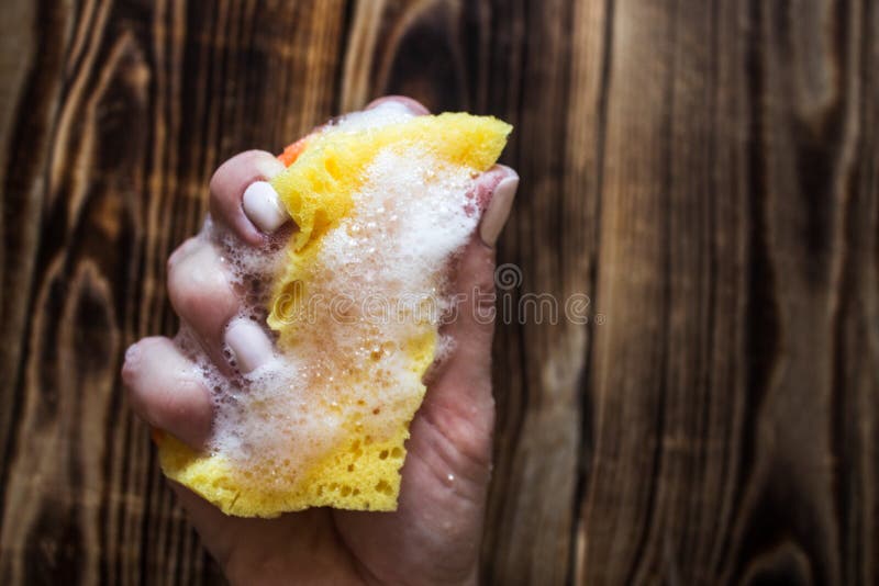 Sponge with Soap Bubbles in Woman`s Hand Stock Image - Image of house ...