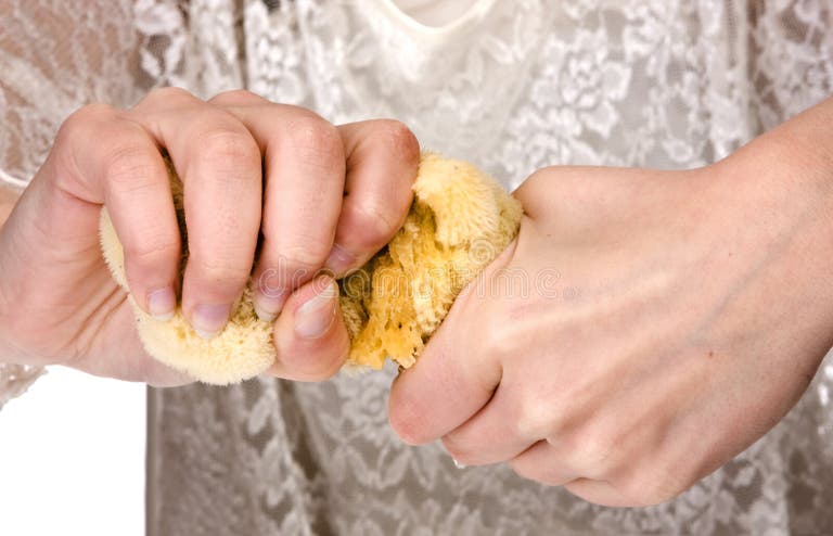 Sponge squeezing stock image. Image of hands, finger - 13628459
